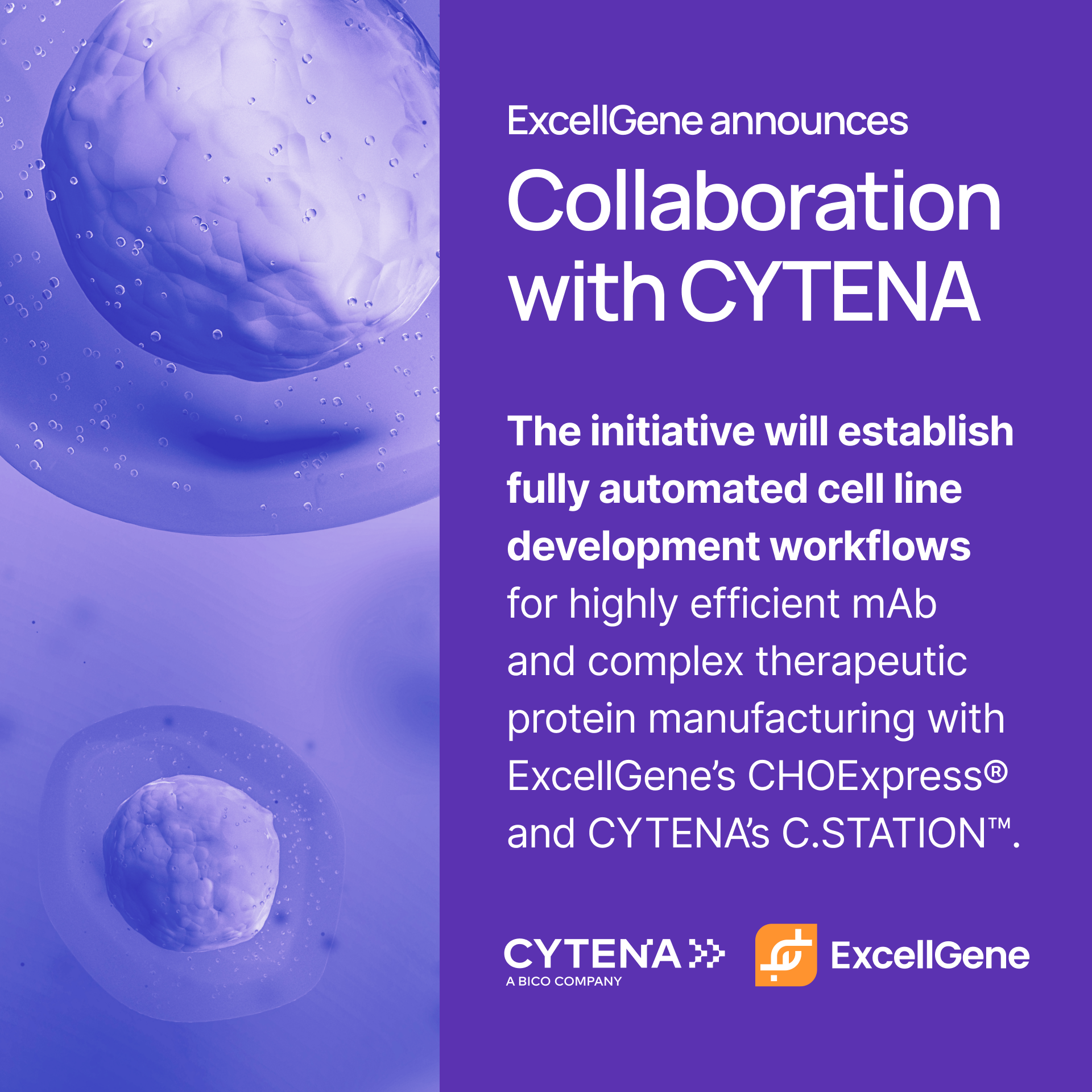 CYTENA and ExcellGene to develop automated workflows for ...